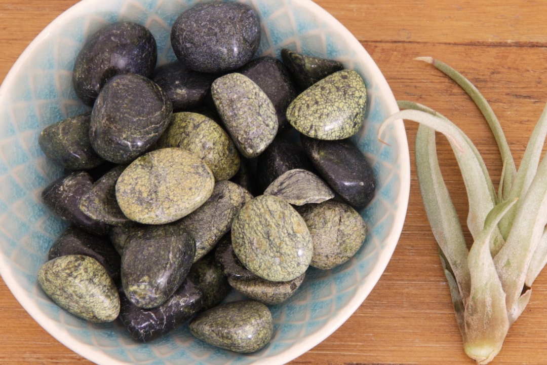 Green Snakeskin Jasper Crystal Tumbled Stone Jasper Stone Rock Crystals ...