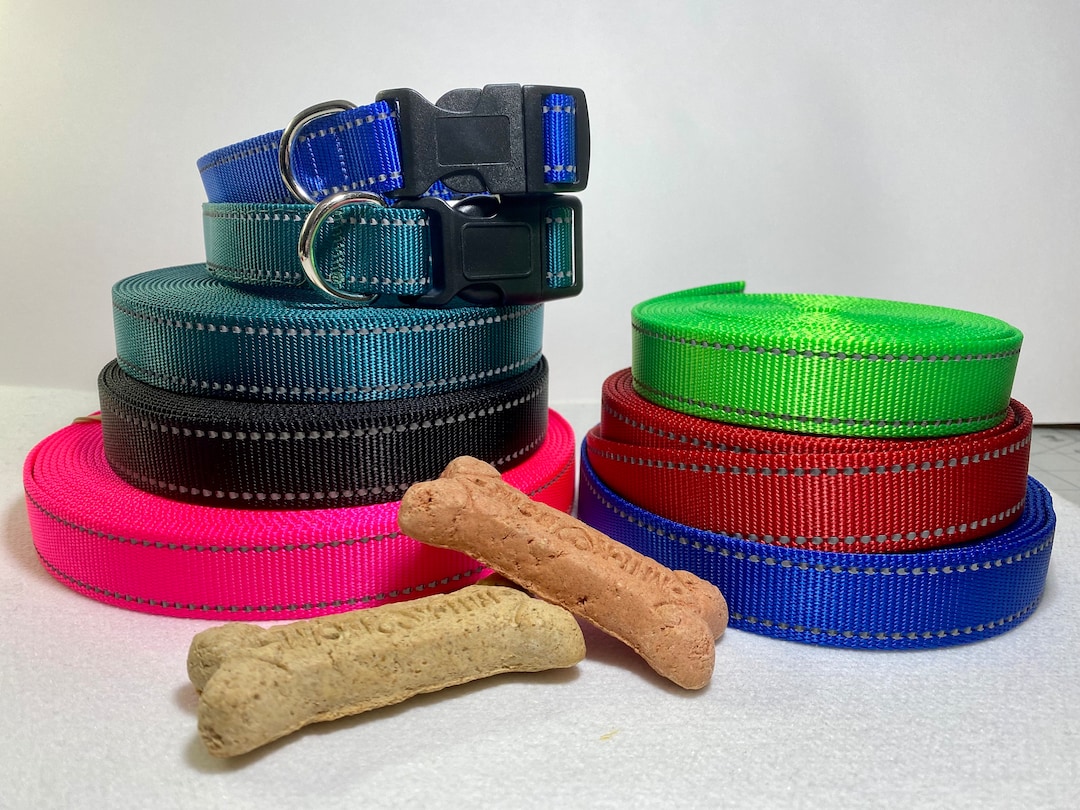 Custom Made Reflective Eclipse®combination Collar, Flea and Tick ...