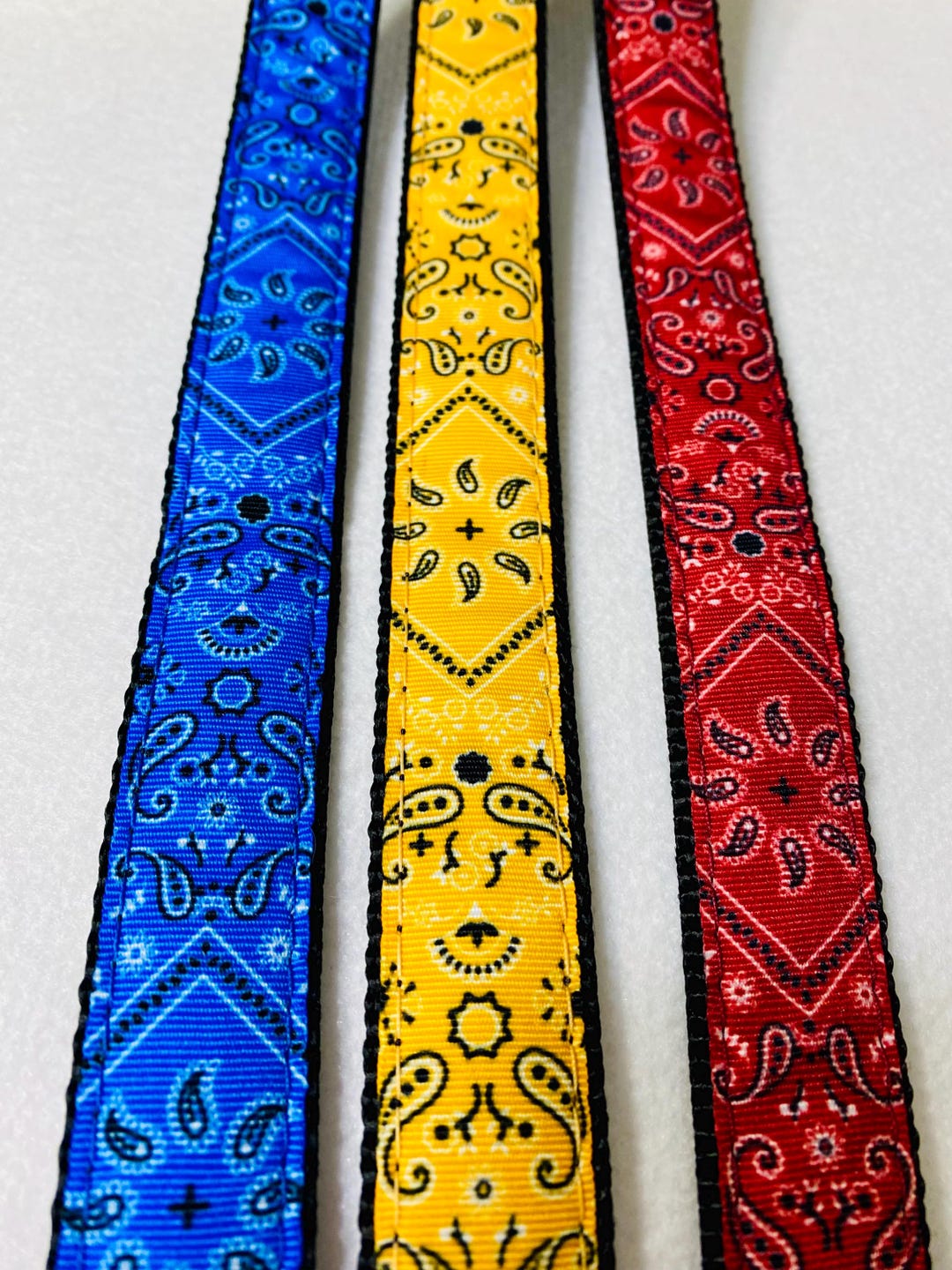 Custom Made Series Eclipse®combination Collar, Flea and Tick ...