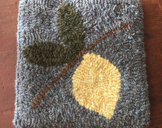 Rug Hooking Kit - Lemon - Etsy