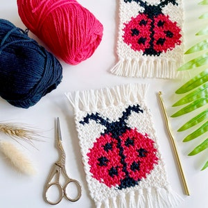 Crochet Pattern | the Little Ladybug Mug Rug | Crochet Mug Rug Pattern ...