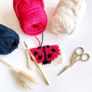 Crochet Pattern | the Little Ladybug Mug Rug | Crochet Mug Rug Pattern ...