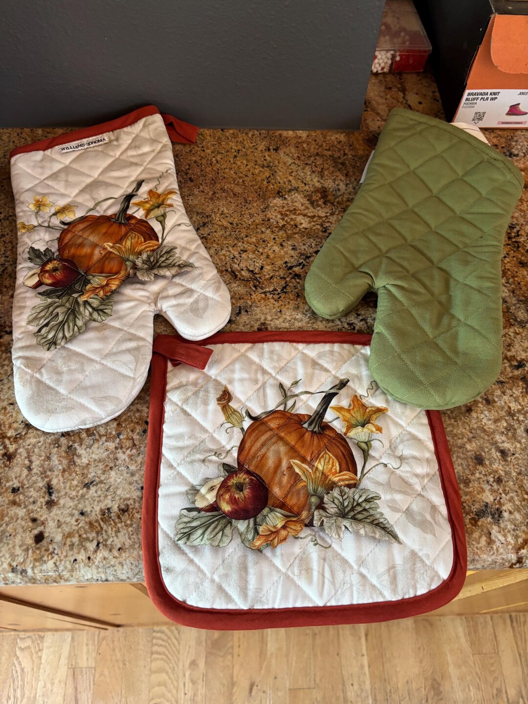 Williams Sonoma NWT Fall Thanksgiving Pumpkin Patch Oven Mits and Hot ...