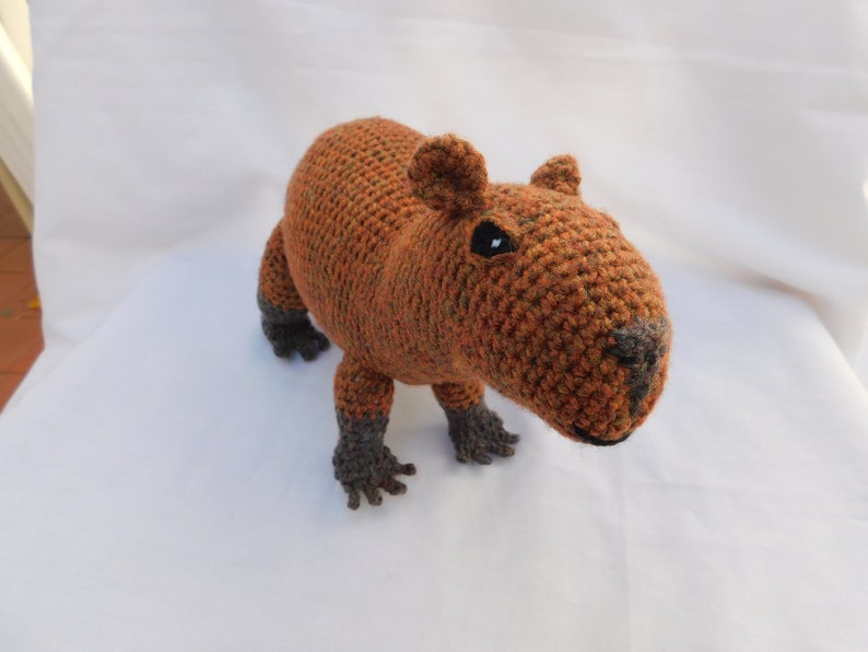 PATTERN PDF Amigurumi Toy Crochet Capi the Capybara - Etsy