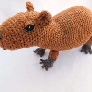 PATTERN PDF Amigurumi Toy Crochet Capi, the Capybara - Etsy