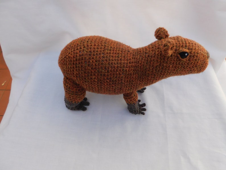 PATTERN PDF Amigurumi Toy Crochet Capi the Capybara - Etsy