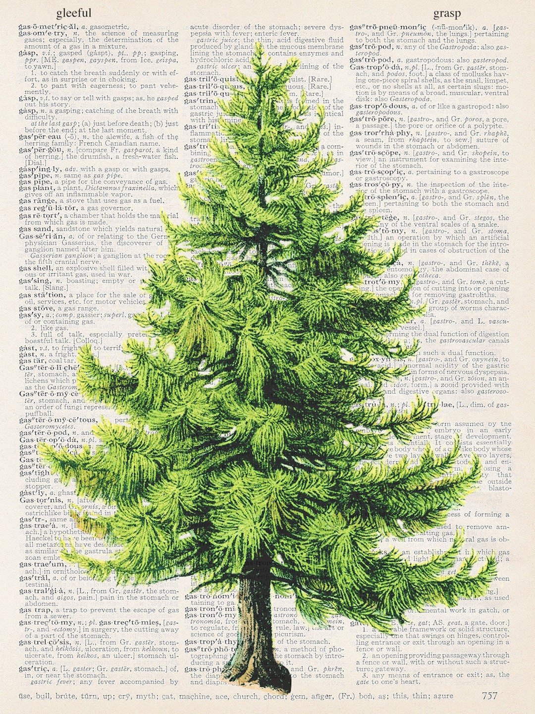 Pine Tree | Art Print - Etsy