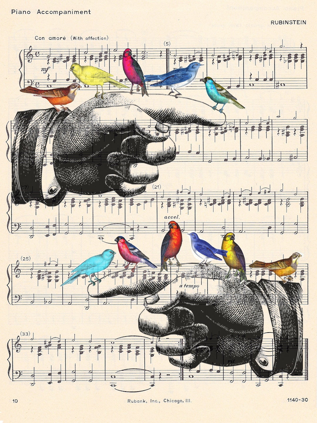 Finger Birds Music | Art Print - Etsy