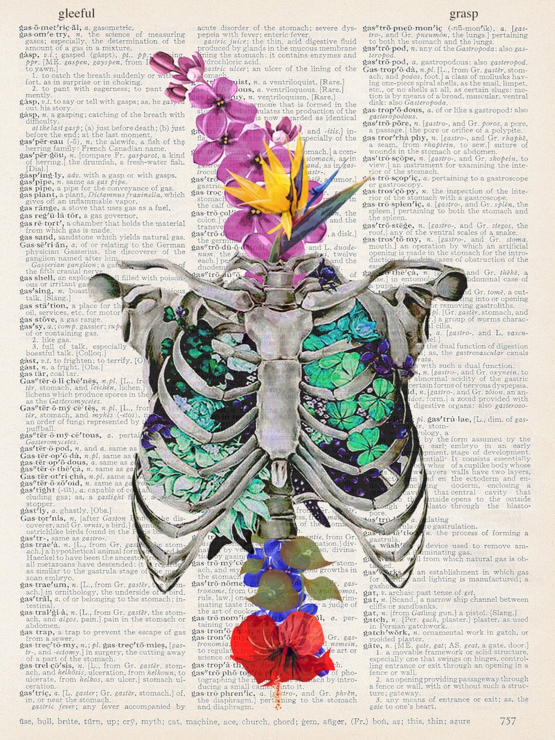 Rib Cage | Art Print - Etsy