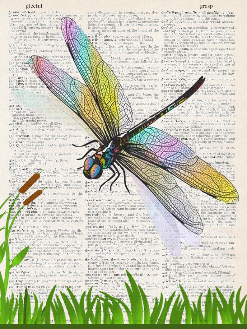 Dragon Fly | Art Print - Etsy