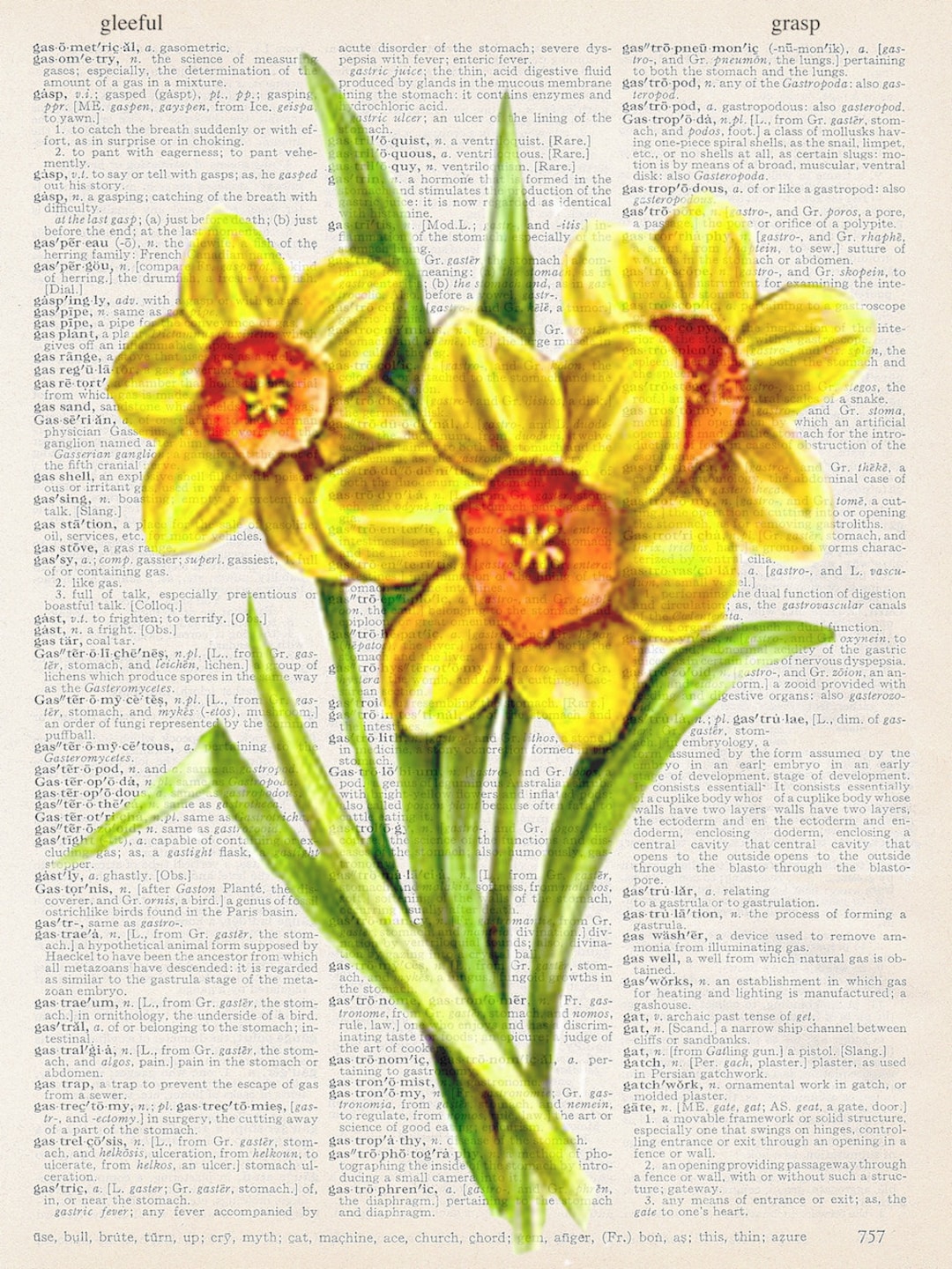 Daffodil | Art Print - Etsy