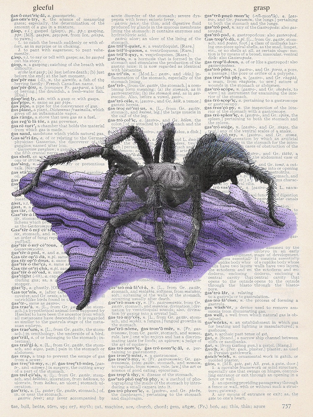 Tarantula | Art Print - Etsy