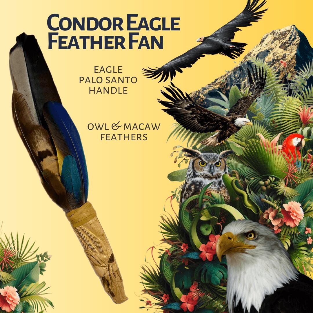 Condor Eagle Feather Fan With Owl Feathers Eagle Palo Santo Handle - Etsy