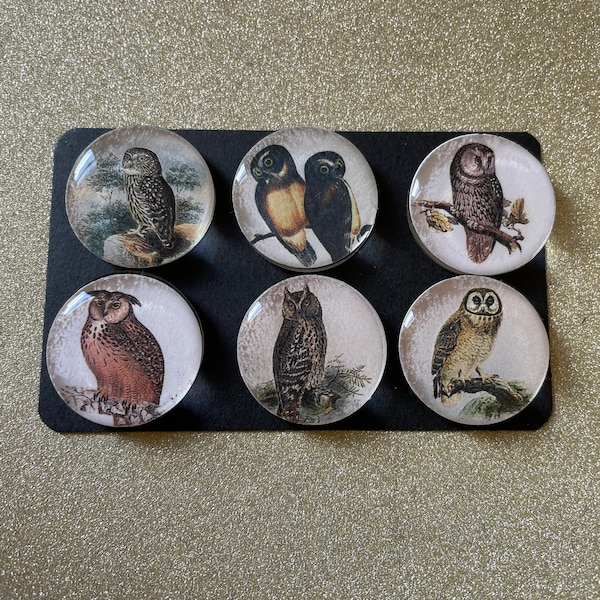 Owl Magnets - Etsy