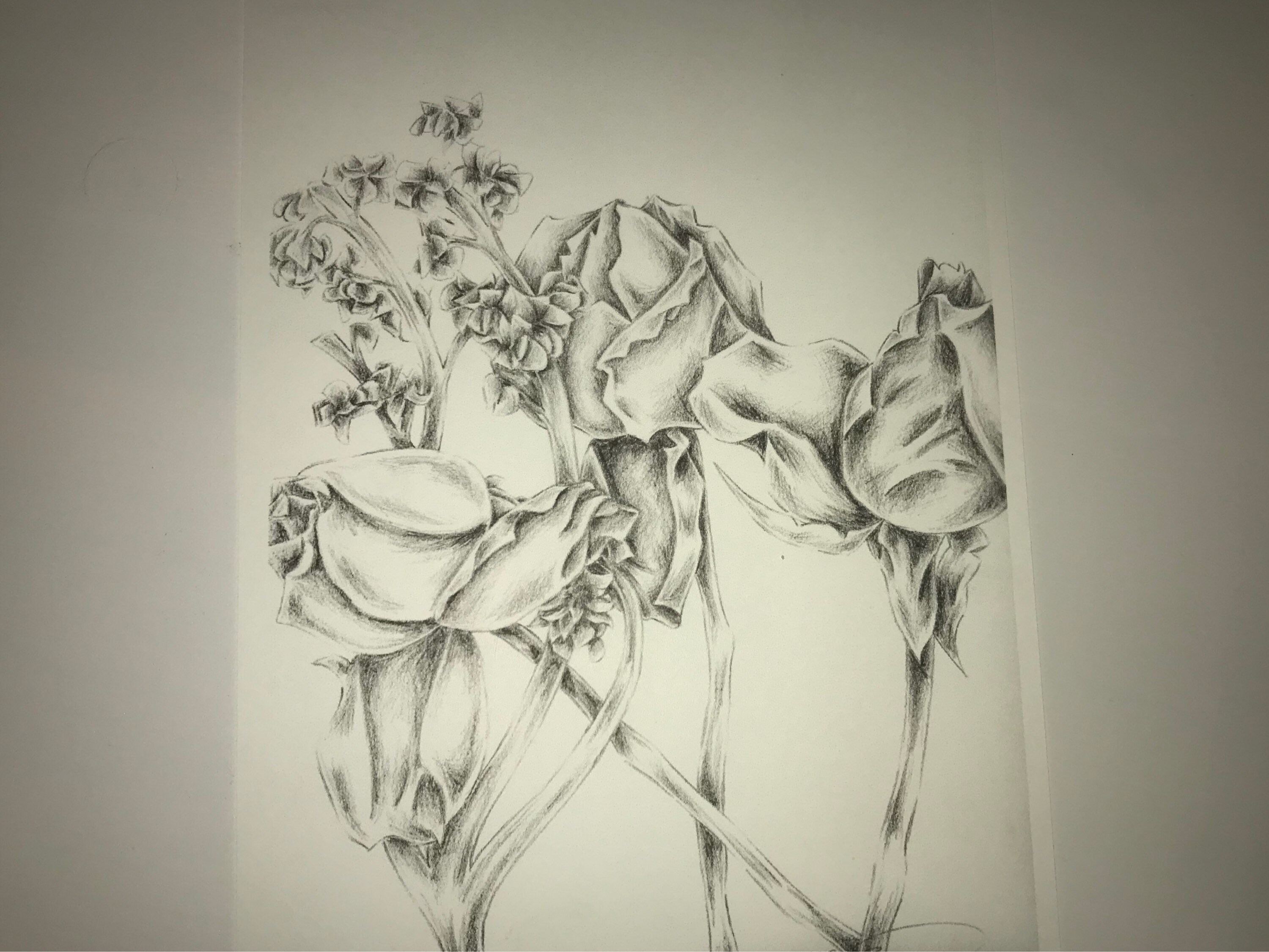 Print of My Original Drawing "blue Roses Pencil" - Etsy