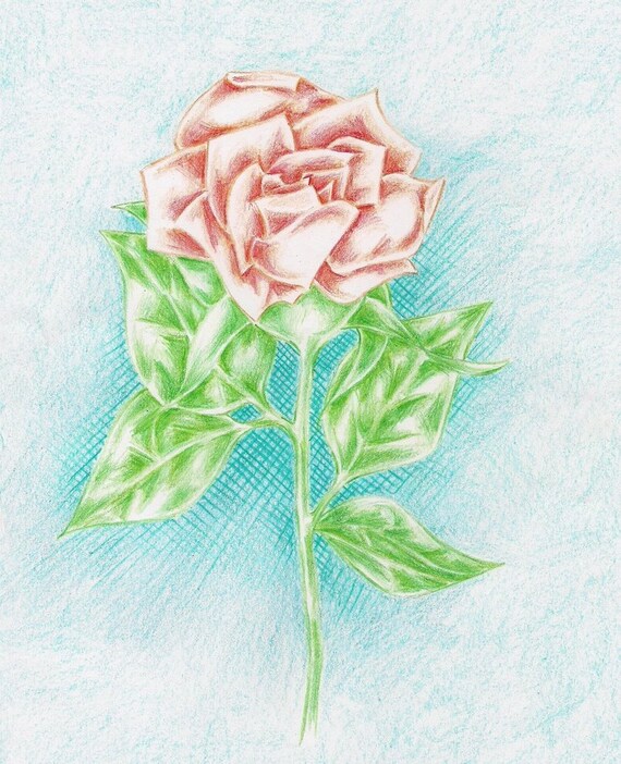 Digital Print of My Original Drawing Middle Rose | Etsy