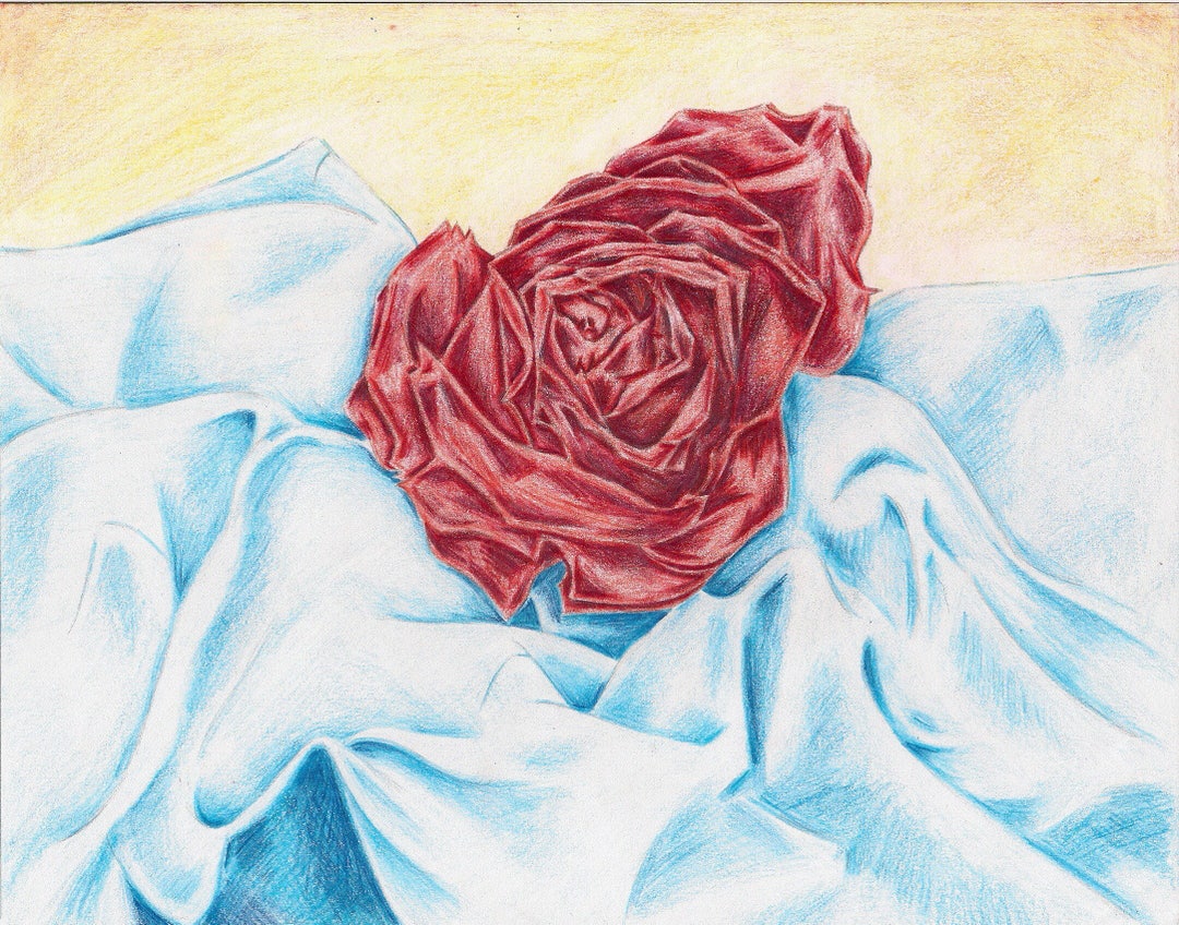 Original Drawingsleeping Rose - Etsy