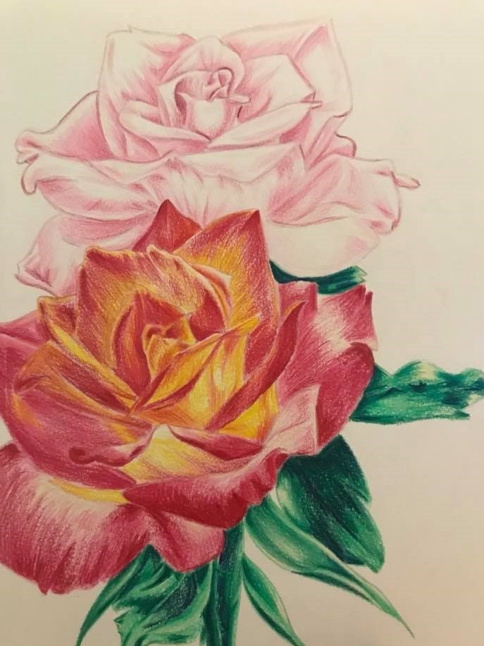 Digital Print of My Original Drawing Two Roses - Etsy