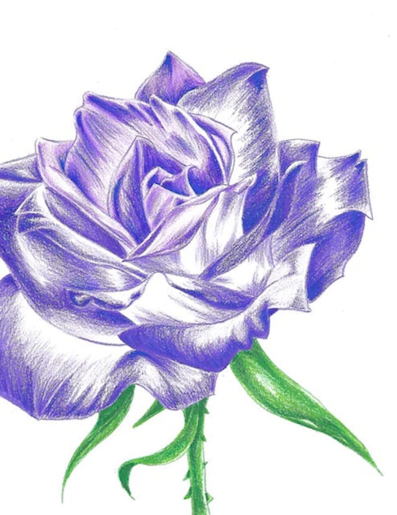 Remembering You, Violet Rose Digital Print - Etsy