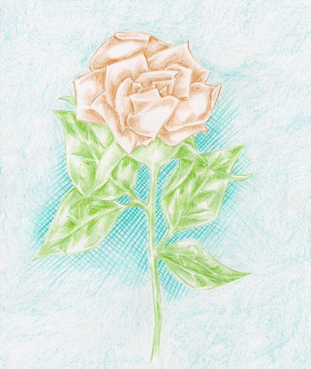 Digital Print of My Original Drawing Light Rose - Etsy
