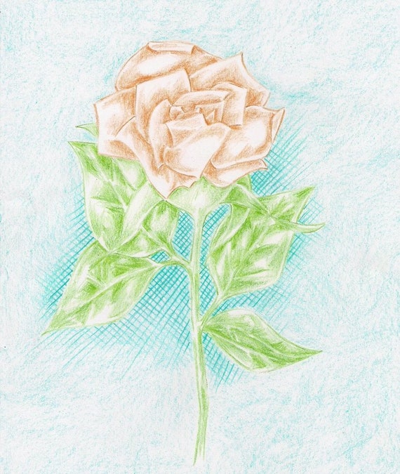Digital print of my original drawing Light Rose | Etsy