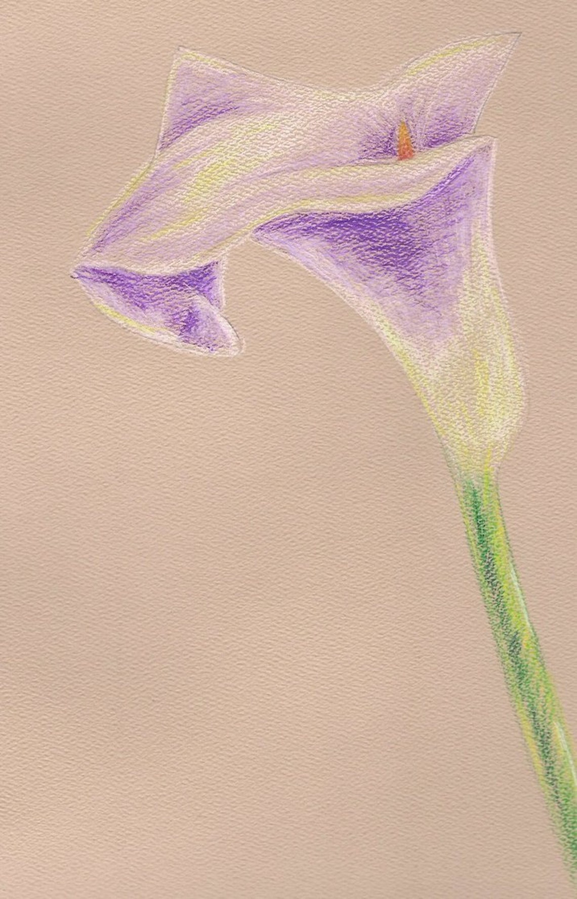 Original Artwork of Single Lily - Etsy