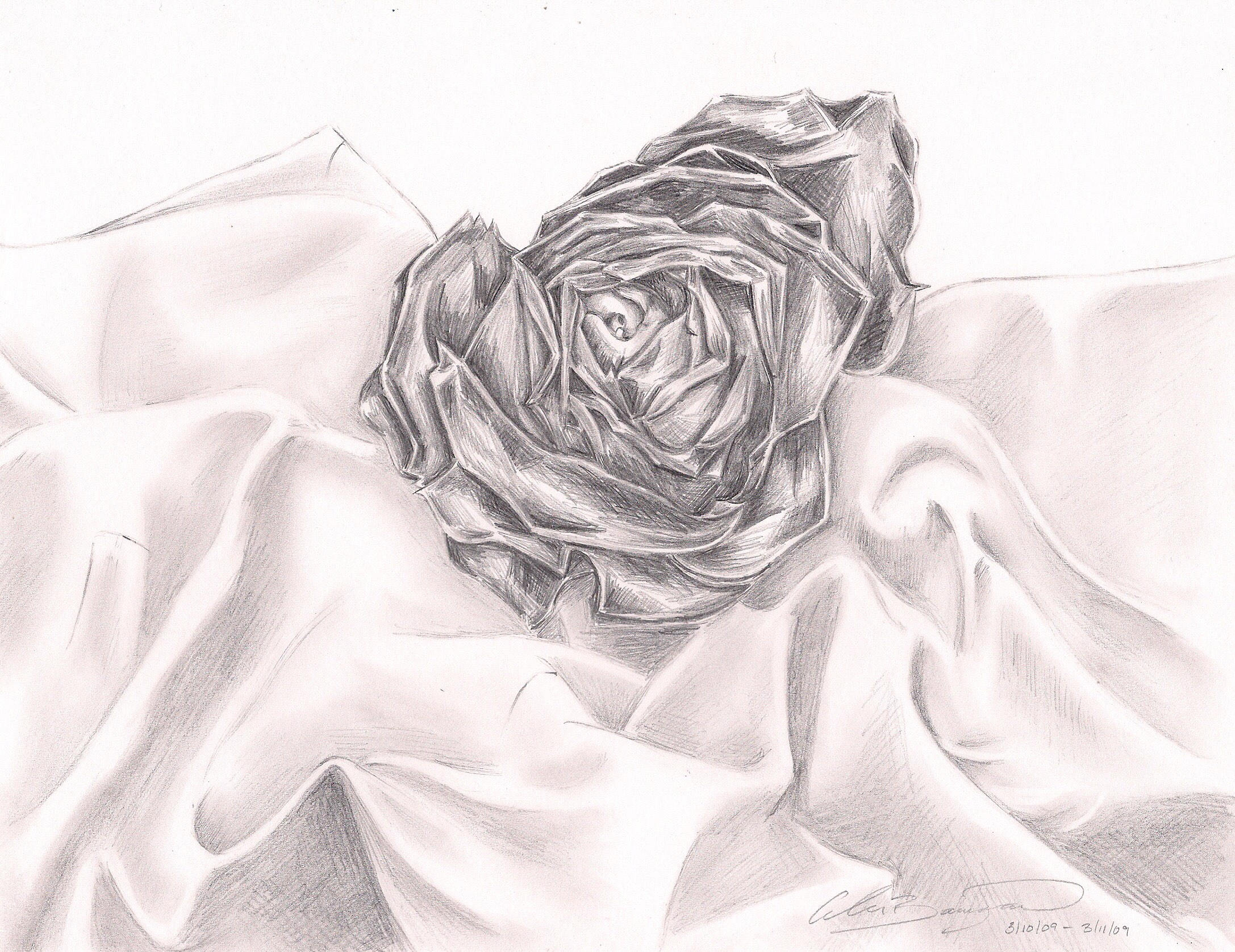 Original Drawing Sleeping Rose - Etsy