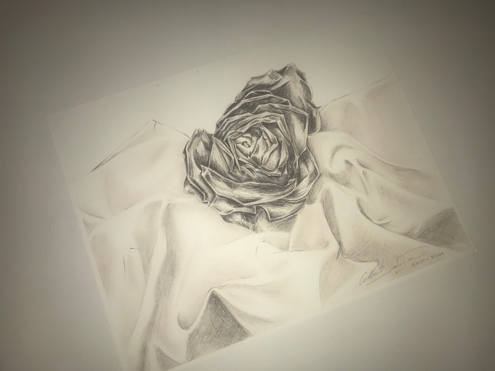 Print of Original Drawing "sleeping Rose" - Etsy