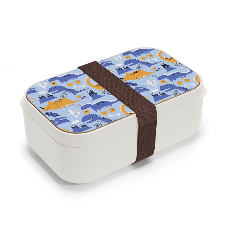 Dinosaur Bento Box, Lunch Box for Kids, Fun Blue Design, Kid Birthday ...