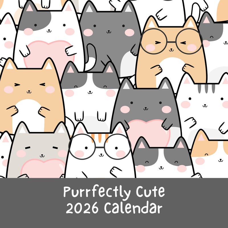 2026 Cat Calendar - Etsy