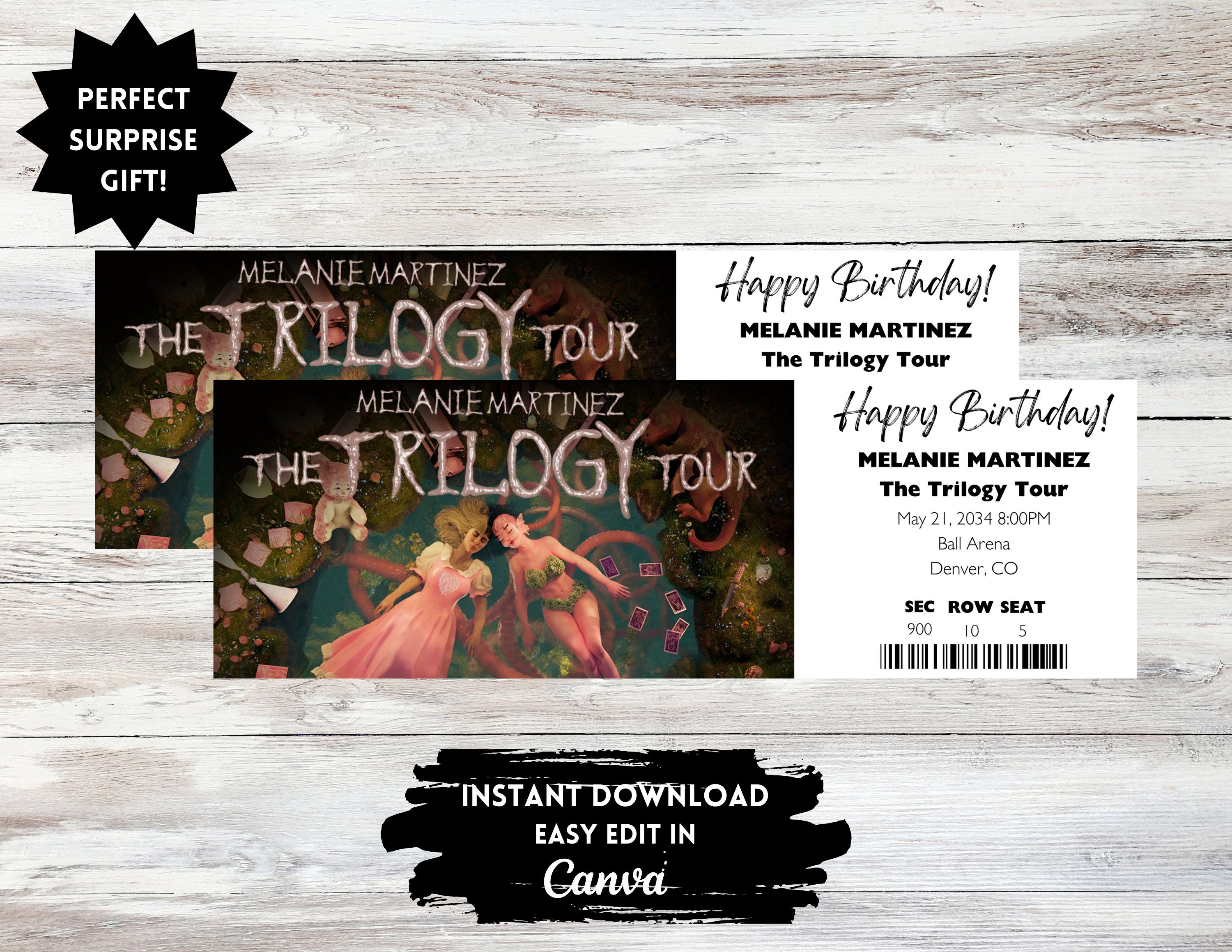 Editable Concert Ticket, Surprise Concert Ticket Gift, Concert Ticket ...