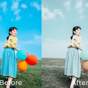 Cinematic Vintage Luts Pack | 24 High-quality Classic Luts Pack for ...