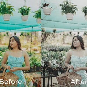 Cinematic Vintage Luts Pack | 24 High-quality Classic Luts Pack for ...