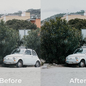 Canon Luts- Canon Log C Luts Pack Bundle for Video Footage Shot in ...