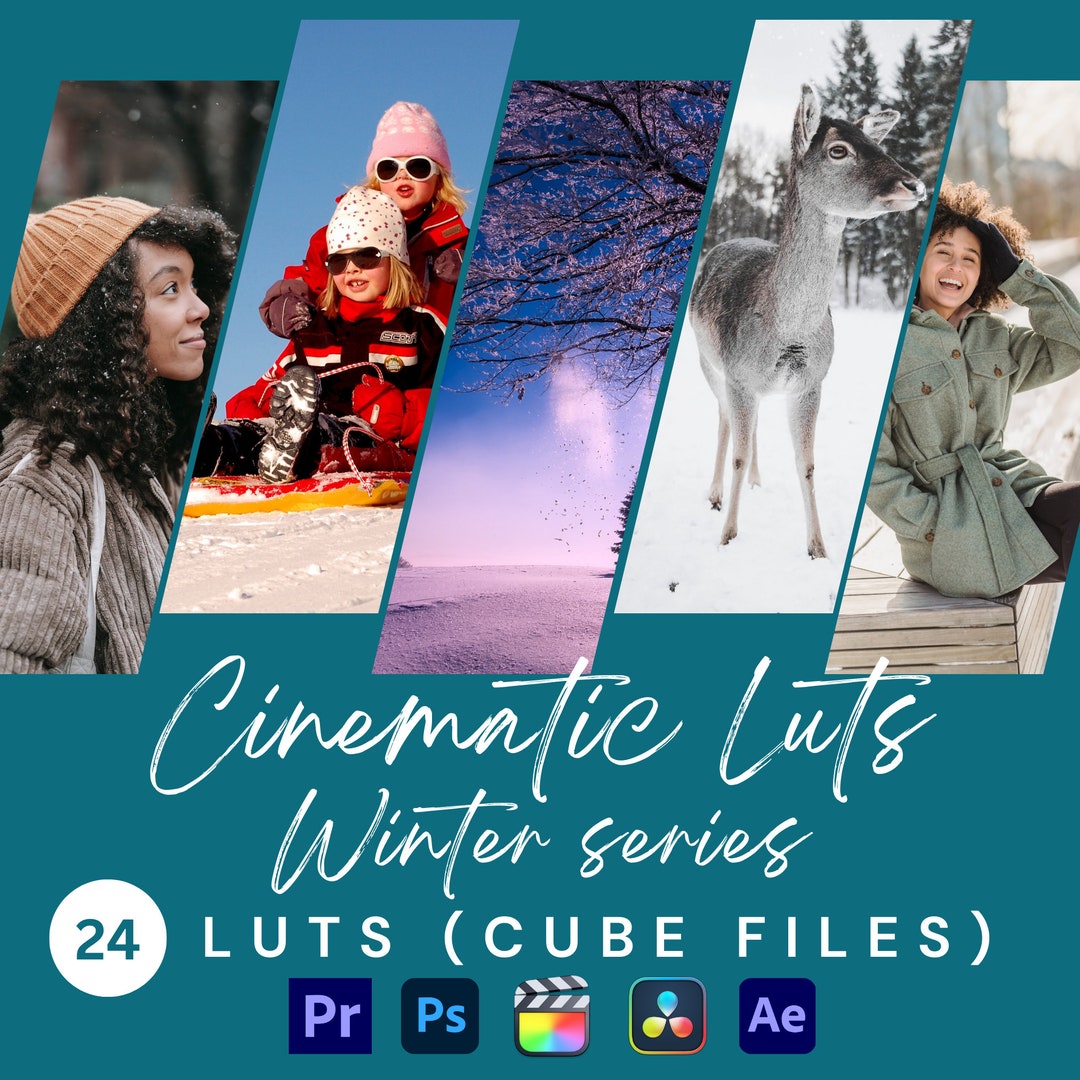 Cinematic Winter Luts Pack | 24 Luts | 24 High-quality Luts Pack for ...