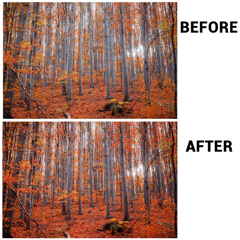 7 Autumn Luts Fall Lut Preset Adobe Premiere Pro Luts Pack Video ...