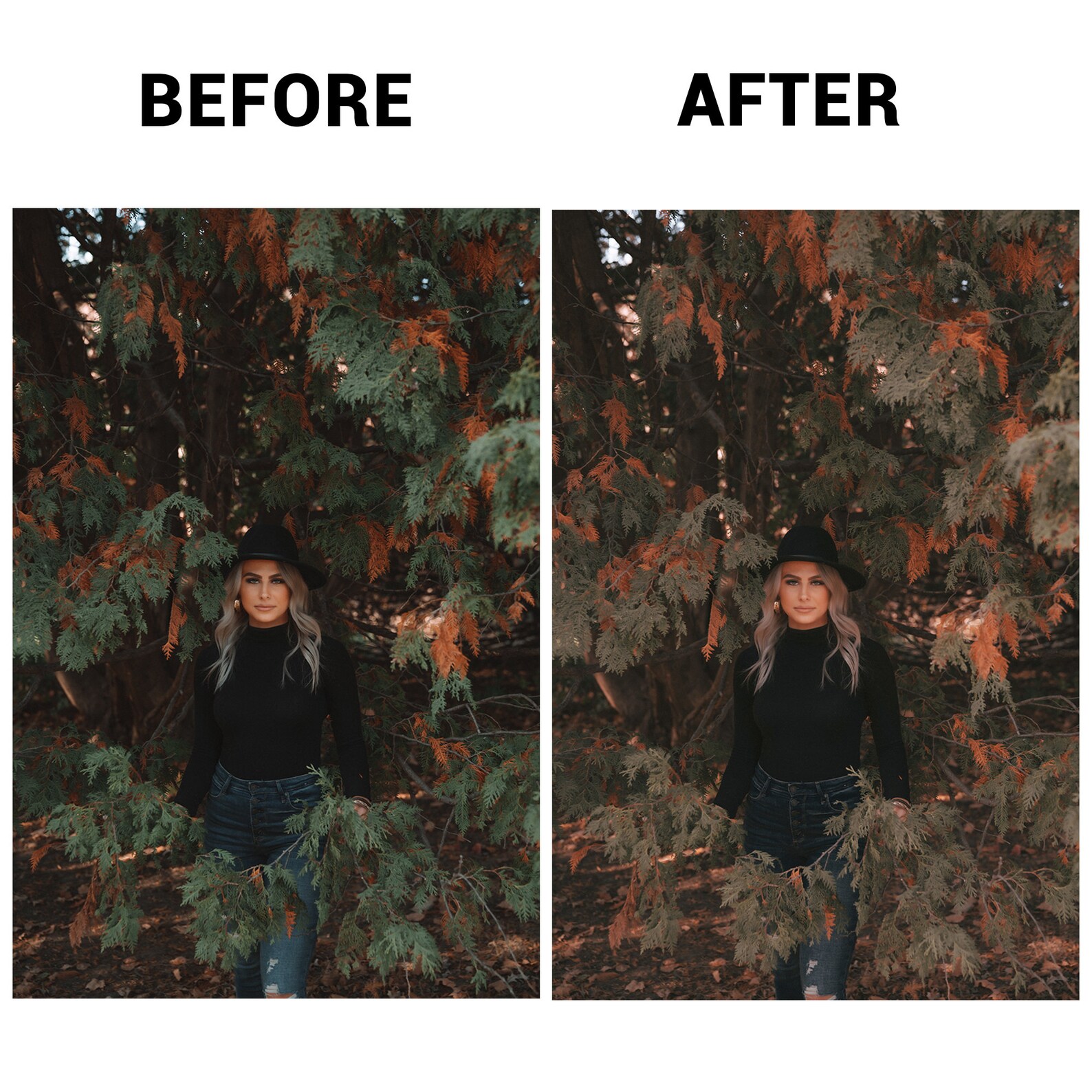 7 Autumn Luts Fall Lut Preset Adobe Premiere Pro Luts Pack Video ...