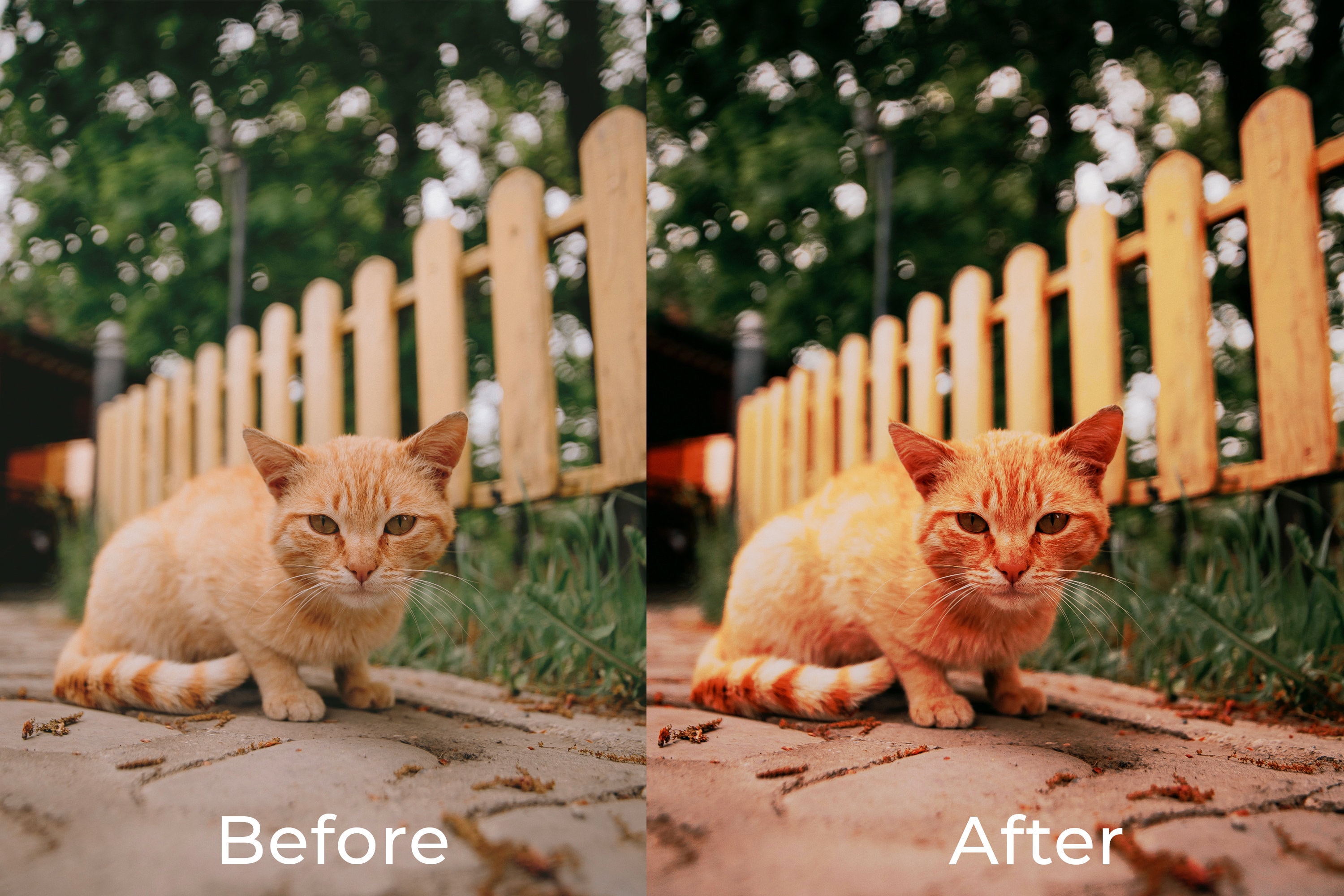 Blackmagic Luts- Luts for Video Footage in Blackmagic 4.6K Camera to ...