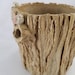 Handmade Ceramic Tree Bark Effect/tree Trunk Decorated With Ladybirds ...