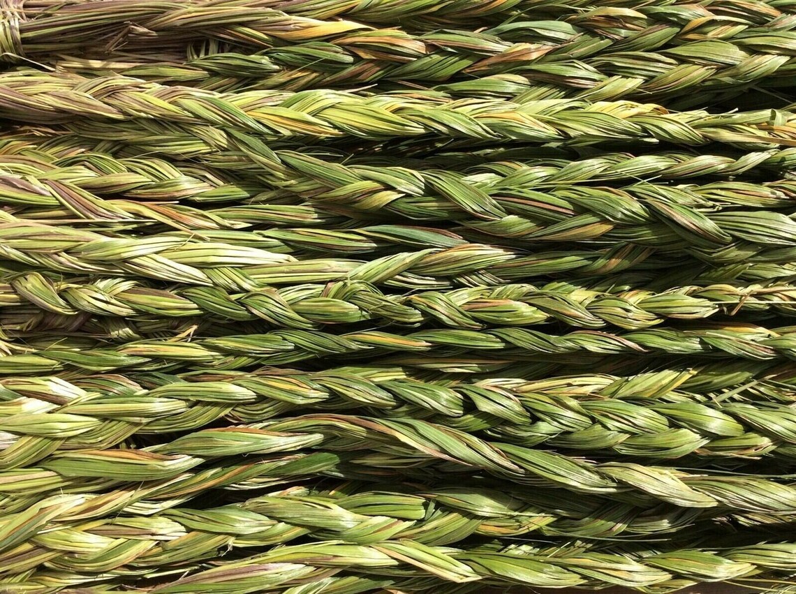 Sweetgrass Braid 14"+ Hierochloe Odorata Smudge (5 Pack) - Etsy
