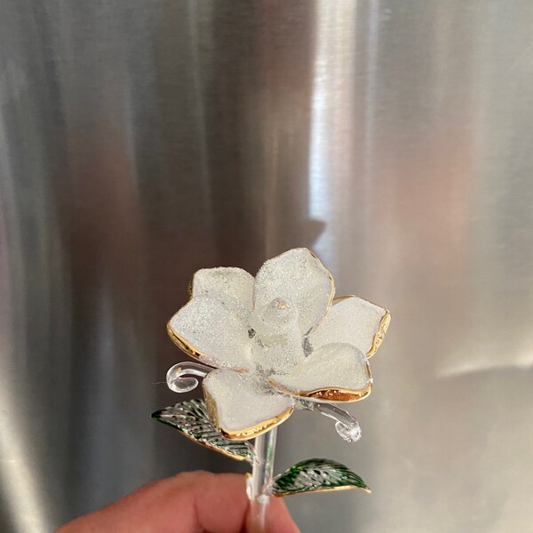 Rose Colored Glass - Etsy