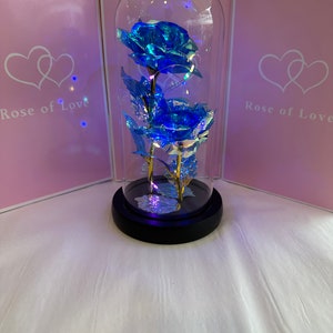 Galaxy Rose in Glass Dome With Multi Color LED Lights! - Etsy