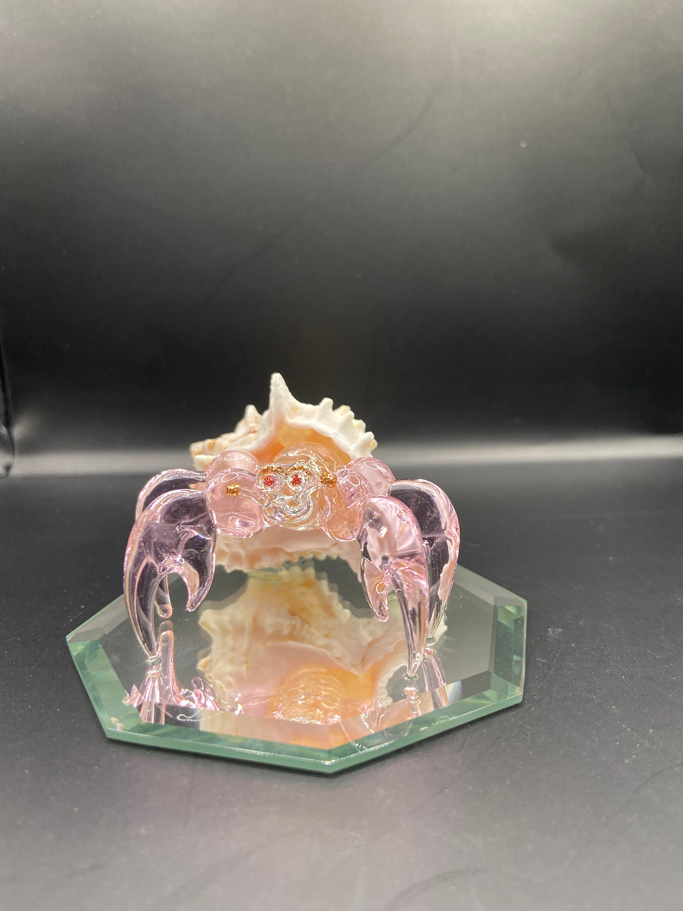 Hermit Crab Shells for sale| 77 ads for used Hermit Crab Shells