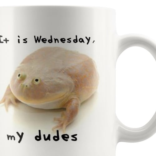 Wednesday Frog Coffee Mug It is Wednesday My Dudes Funny | Etsy