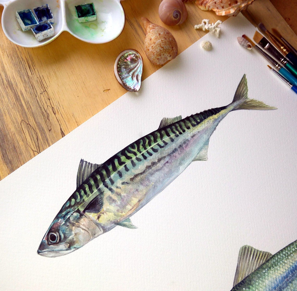 MACKEREL watercolour Painting Art Print | Etsy