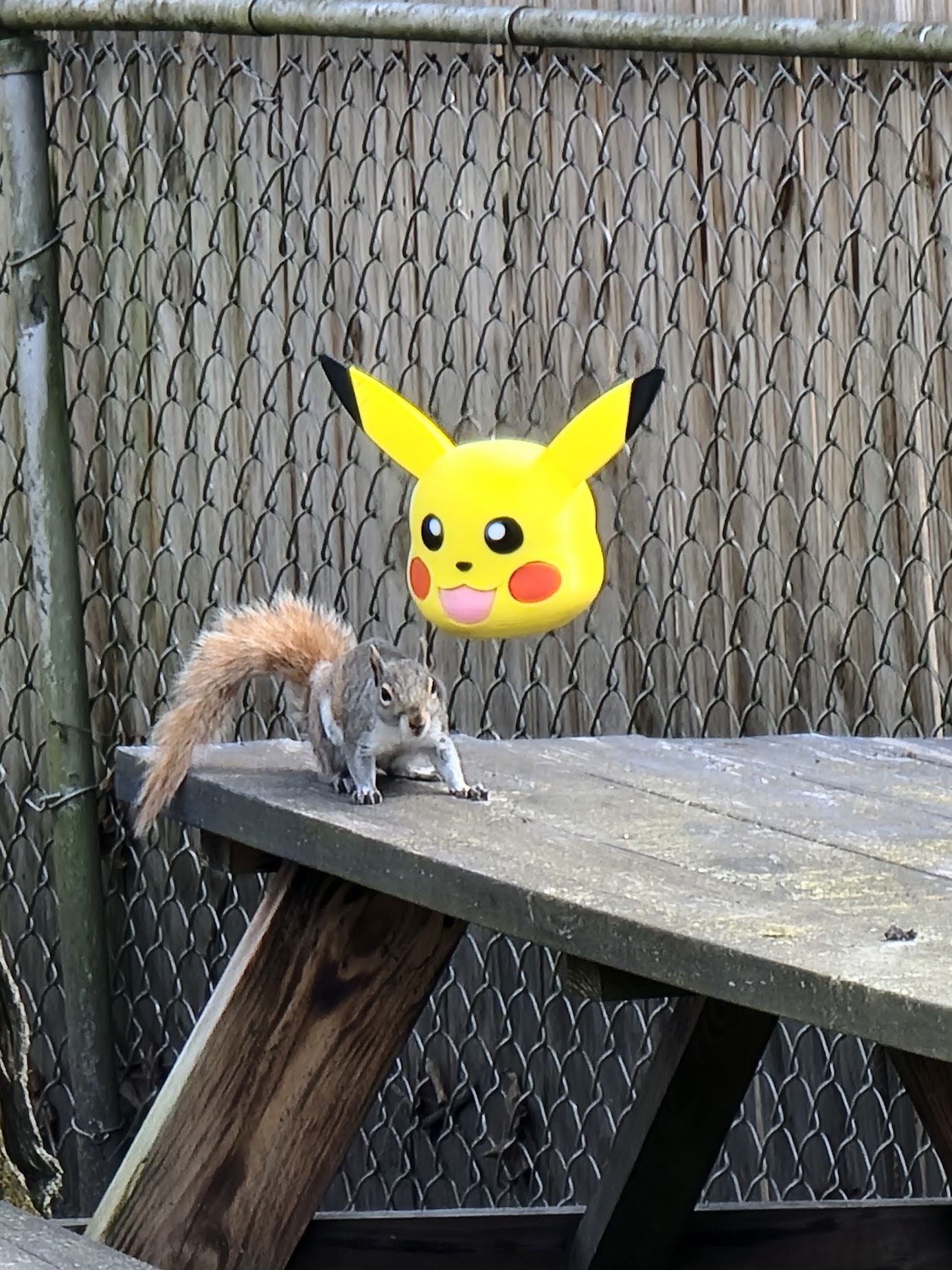 Pikachu Squirrel Feeder - Etsy