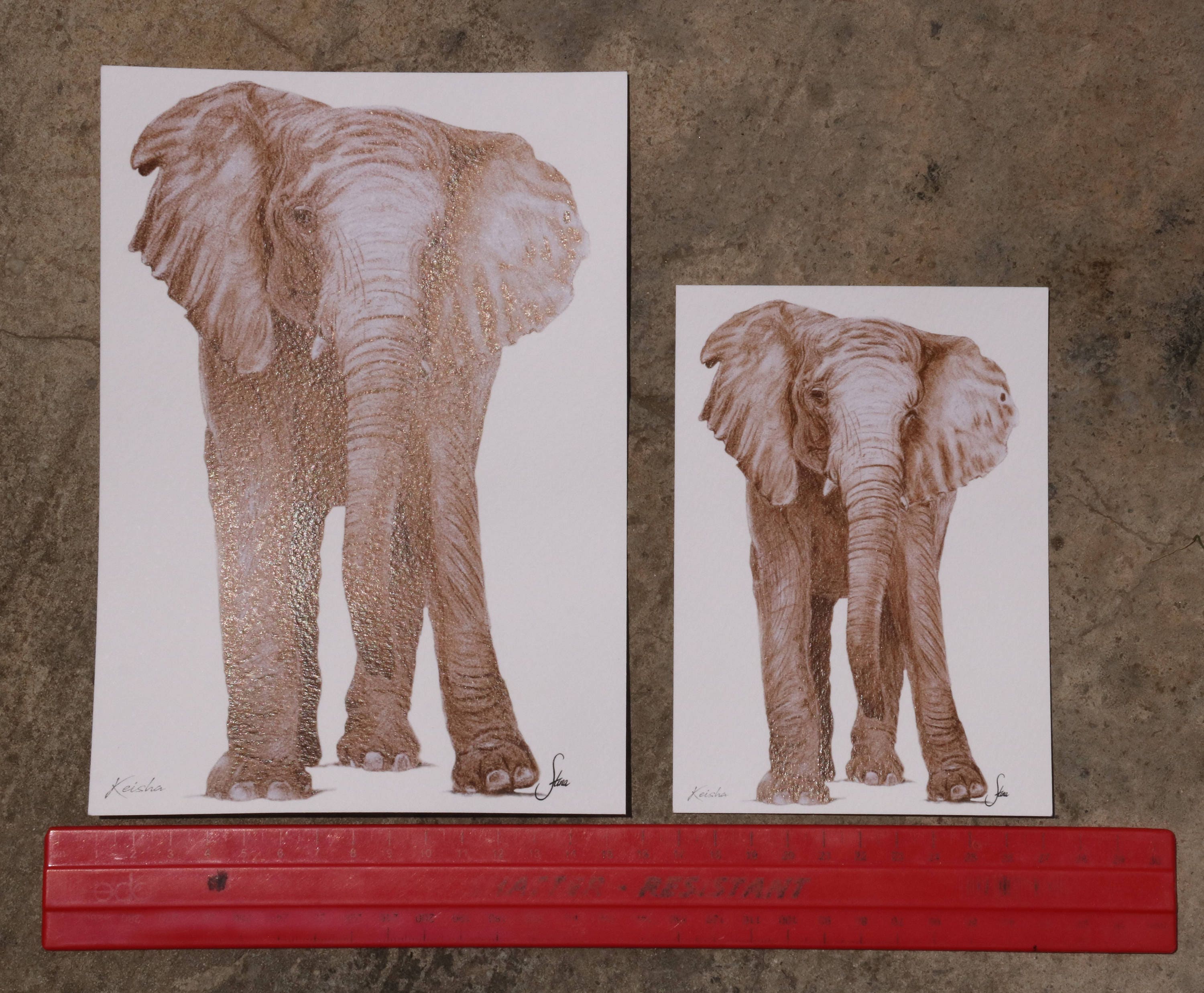 Elephant Art Postcards, A6 (classic Postcard Size) - Etsy