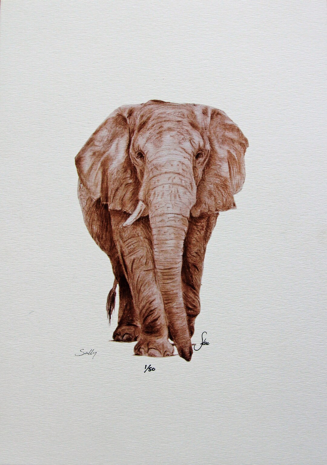 Sally, Limited Edition Print, A4 - Etsy