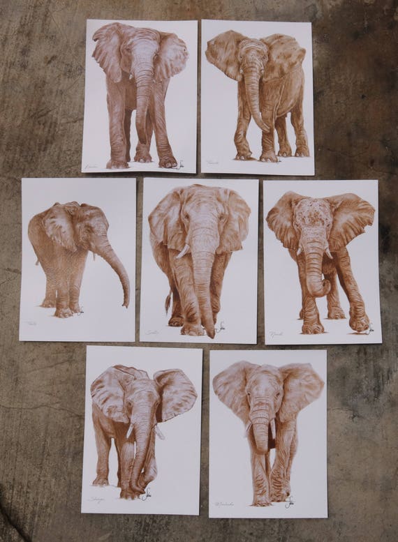 Elephant Art Postcards A6 classic Postcard Size - Etsy