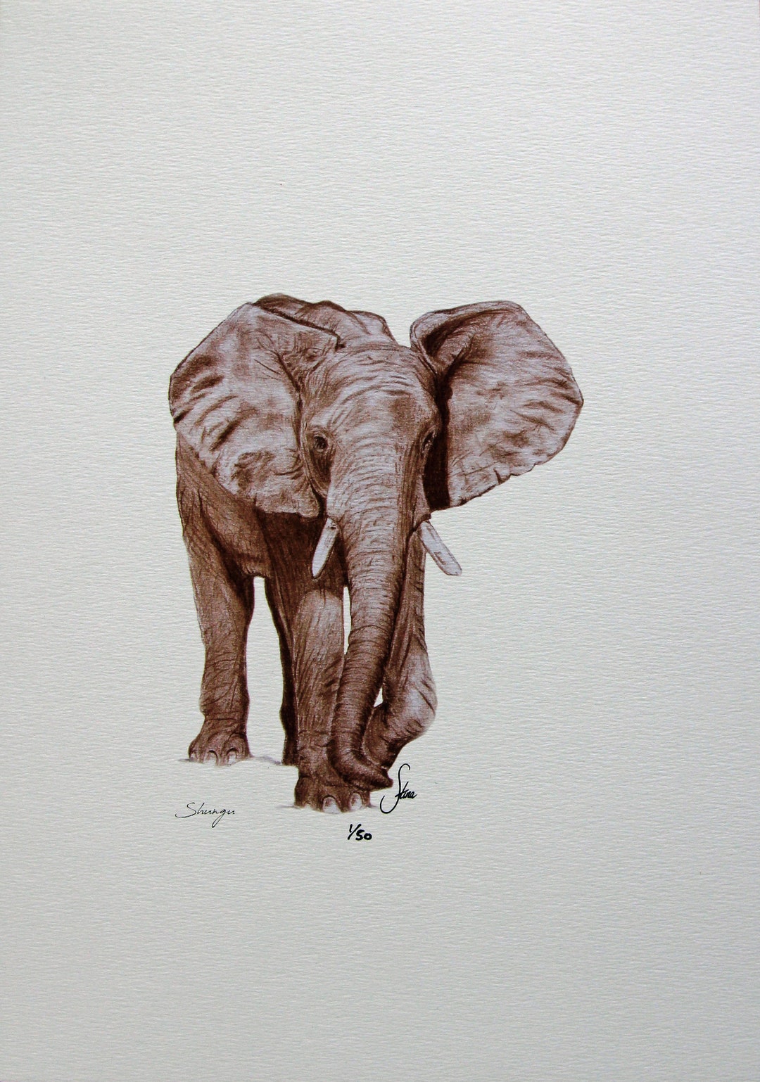 Shungu, Limited Edition Print, A4 - Etsy